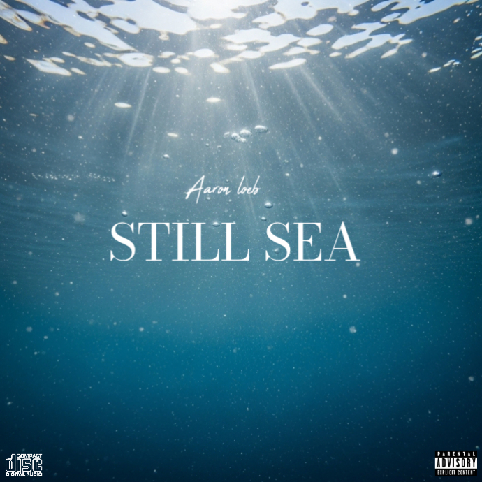 CD Mixtape/Album Cover Artwork Template | PosterMyWall