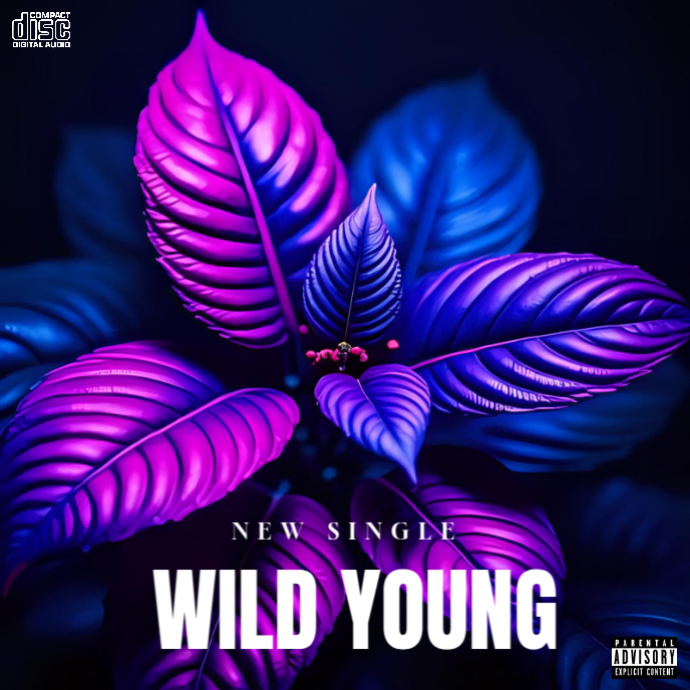 CD Mixtape/Album Cover Artwork Template | PosterMyWall