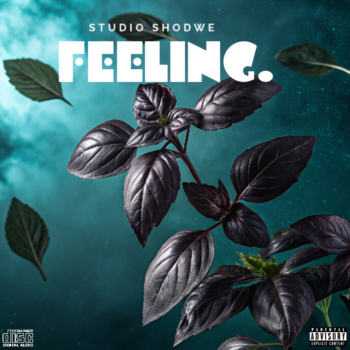 CD Mixtape/Album Cover Artwork Template | PosterMyWall