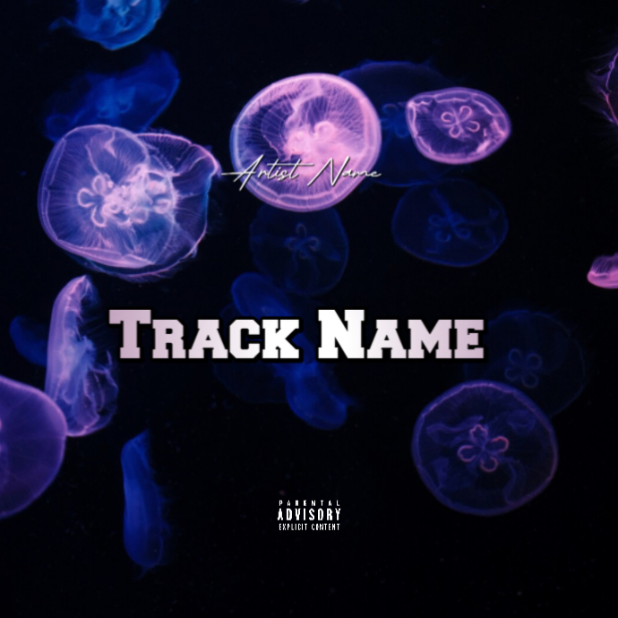 CD mixtape song album cover art work template | PosterMyWall