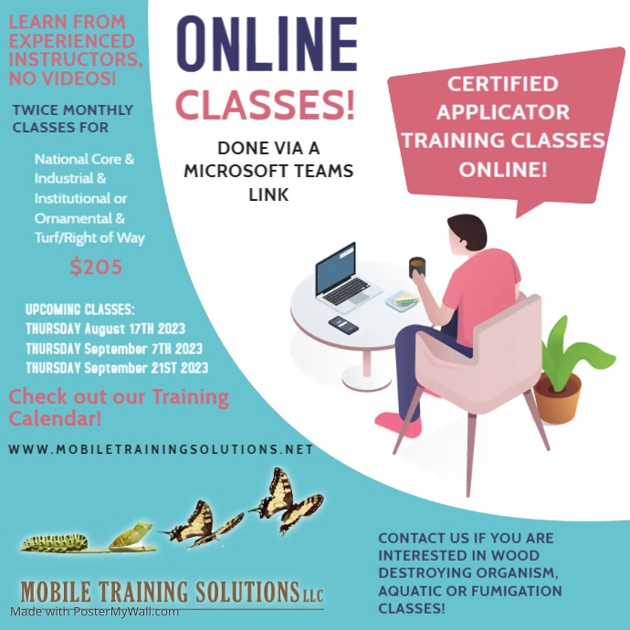 Copy of Online Education, Courses Instagram Post | PosterMyWall