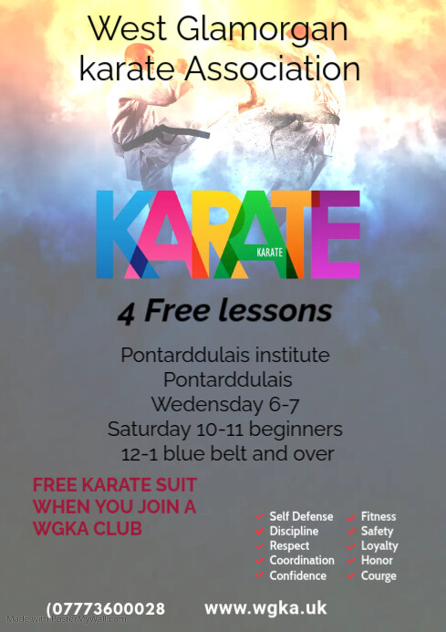 Karate Lessons Flyer | PosterMyWall
