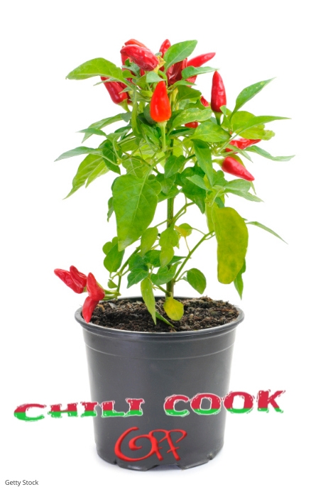 Chili cook off Template | PosterMyWall