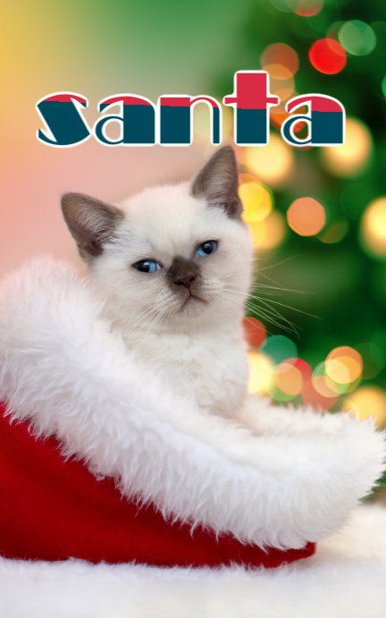 christmas card cover Template | PosterMyWall