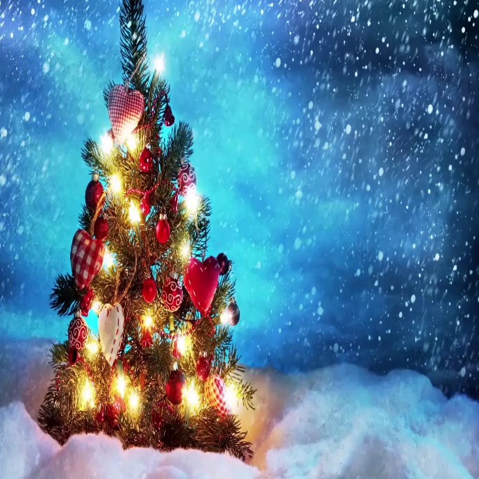 Christmas tree video flyer Template | PosterMyWall