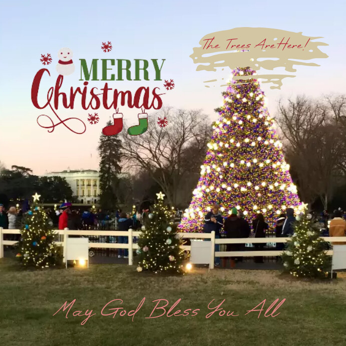 Christmas Wish Chrismas Tree Template | PosterMyWall