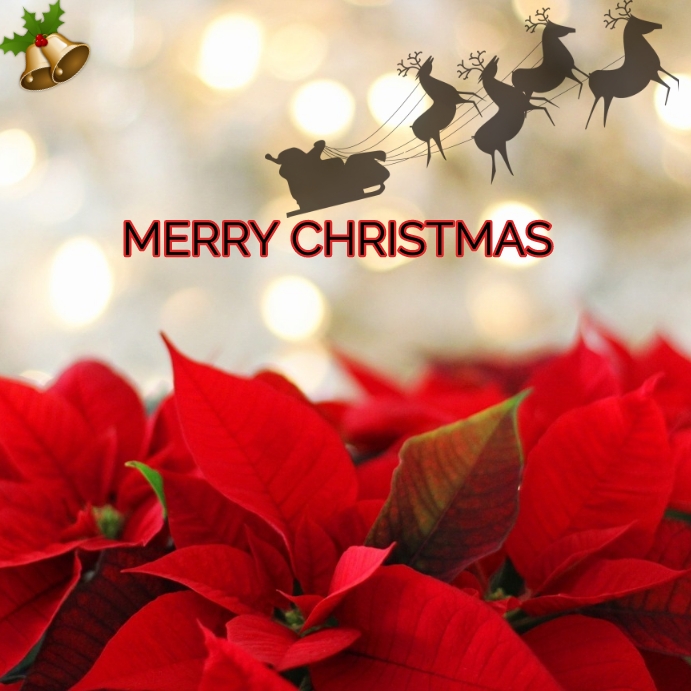 christmas wishes Template | PosterMyWall