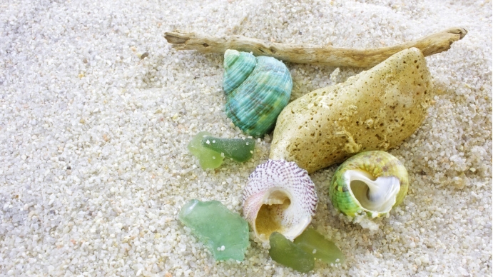 Classy Zoom Meeting Background Template | PosterMyWall