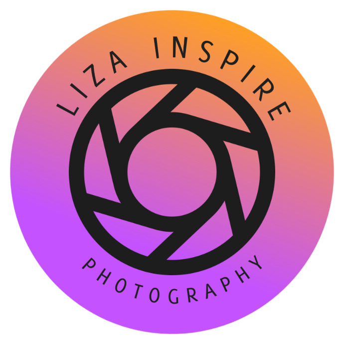 Clean Circle Gradient Transparent Logo Template | PosterMyWall