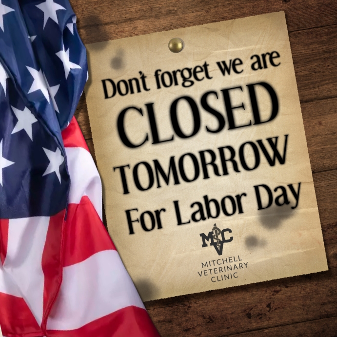 Copy of Closed for Labor day | PosterMyWall