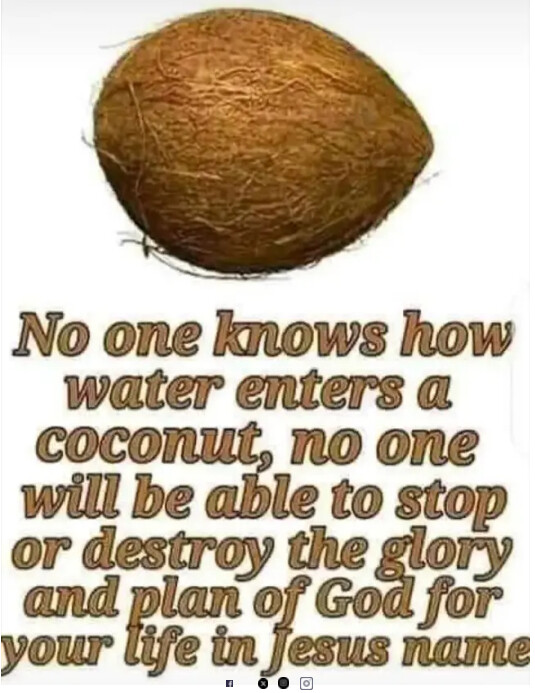 Coconut quote Template | PosterMyWall
