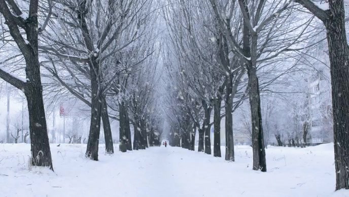 Copy of cold in snow fall | PosterMyWall