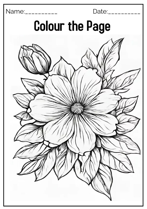 Colouring Page For kids / Toddlers Template | PosterMyWall