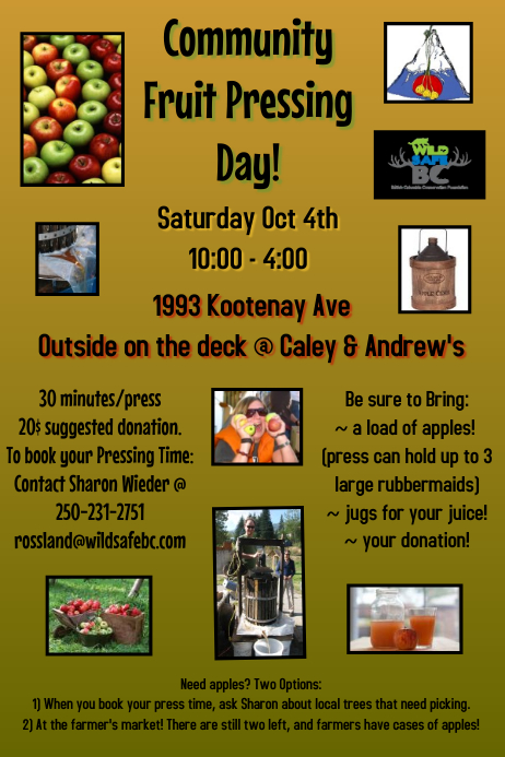 Community Event Poster Template | PosterMyWall