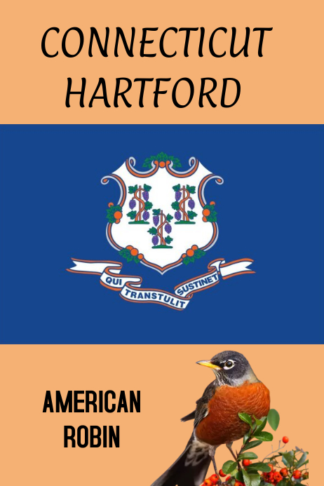 CONNECTICUT STATE POSTER Template | PosterMyWall