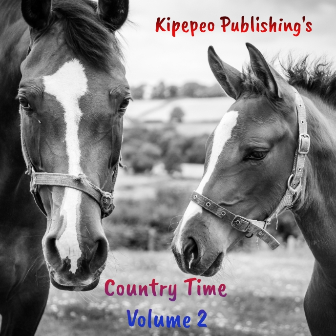 Country Time Vol. 2 Template | PosterMyWall
