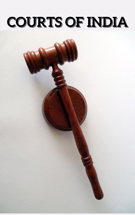 Copy of COURTS OF INDIA BOOK TEMPLATE | PosterMyWall