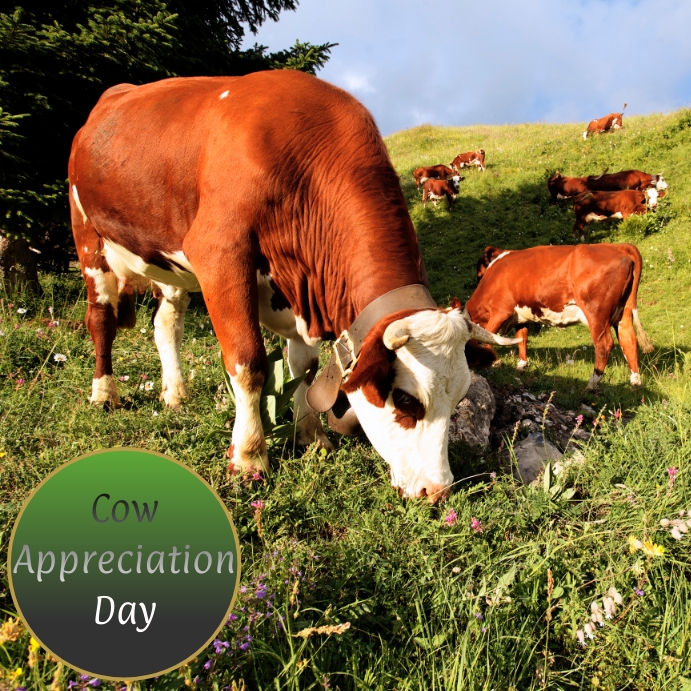 Cow Appreciation Template | PosterMyWall