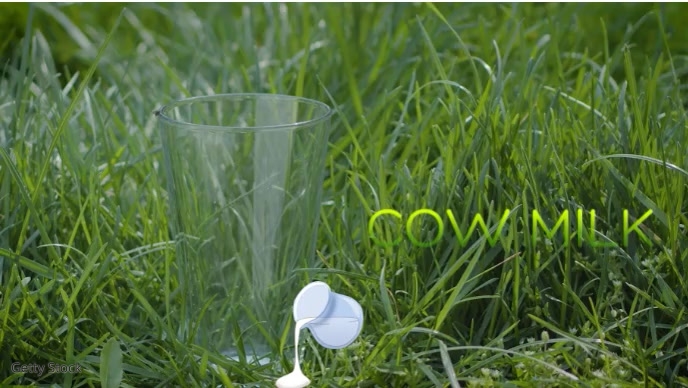 COW MILK Template | PosterMyWall