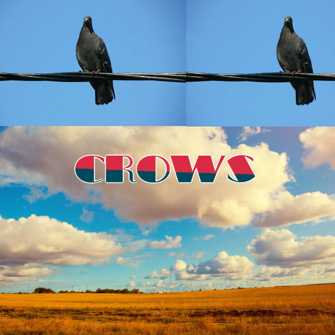 CROWS Template | PosterMyWall