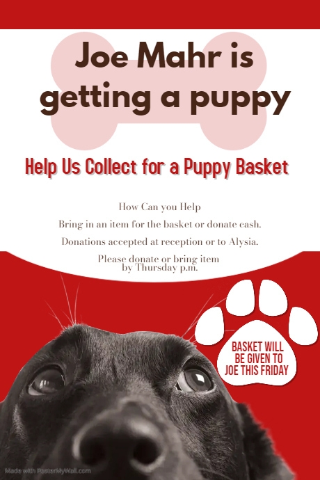 Template dog grooming | PosterMyWall