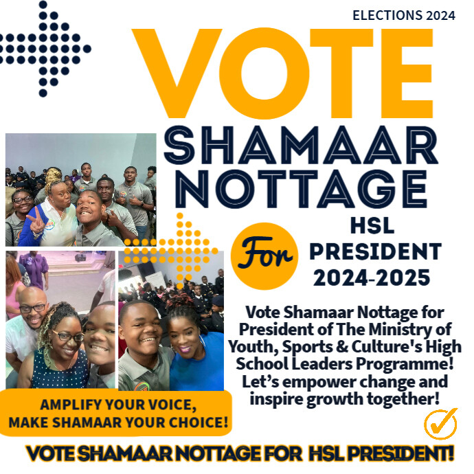 Election Campaign Instagram Post | PosterMyWall