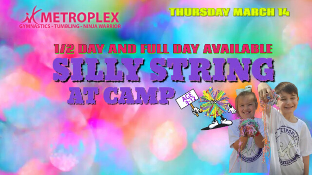SILLY STRING HPS | PosterMyWall