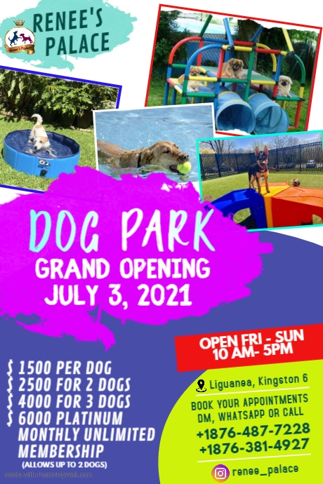 Copy of Water Theme Park Flyer Design Template | PosterMyWall