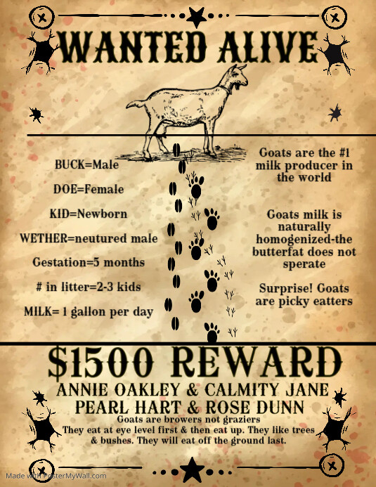 Wanted Poster GOATS | PosterMyWall