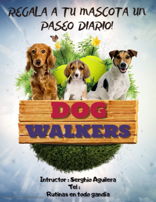 Copy of Copia de Neighbourhood Dog Walker Advert Flyer | PosterMyWall