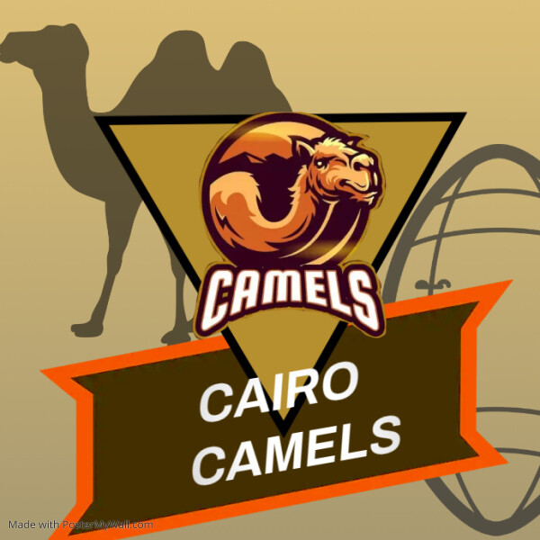 Camels | PosterMyWall