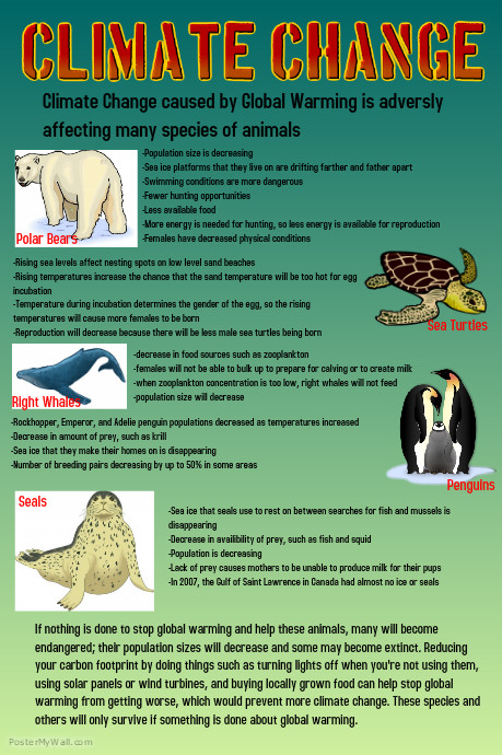 The Effects of Climate Change on Animals | PosterMyWall