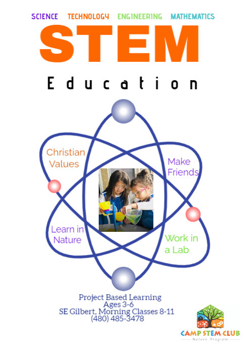 stem science 7 | PosterMyWall