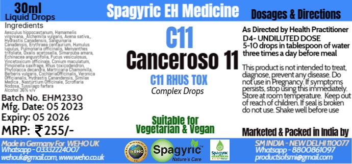 Copy of c11 india new | PosterMyWall