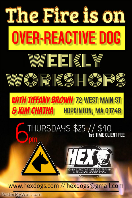 Over-Reactive Dog Weekly Workshop | PosterMyWall