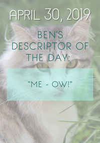 Zebra Print Poster Template | PosterMyWall