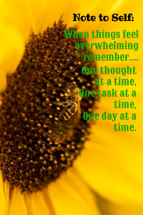 Daily Quote Template | PosterMyWall