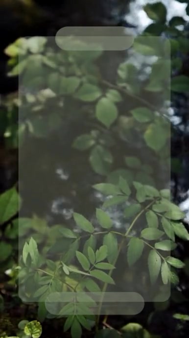 daily quotes template | PosterMyWall