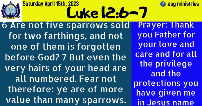 Copy of Daily Scriptures | PosterMyWall