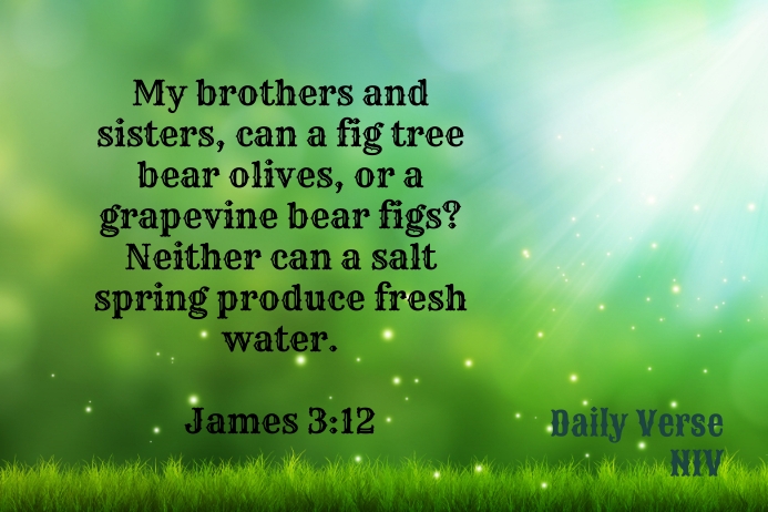 Daily Verse Template | PosterMyWall