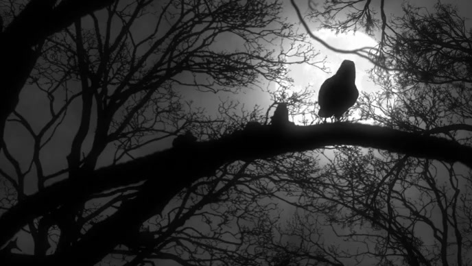 Dark Template | PosterMyWall