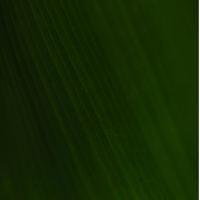 Copy of Dark green glowing background design | PosterMyWall