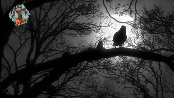 Dark poster video Template | PosterMyWall