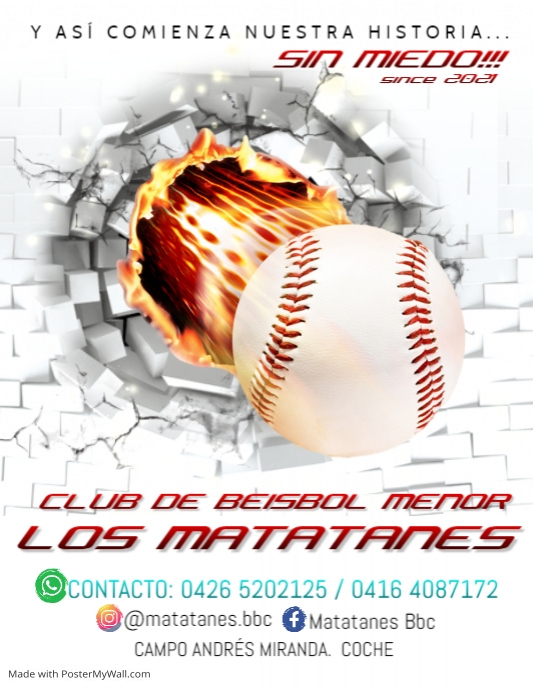Copy of Copia de BASEBALL GAME | PosterMyWall