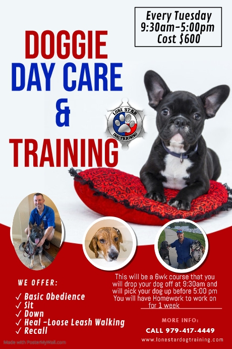 Copy of Dog Pet care wash service flyer template | PosterMyWall