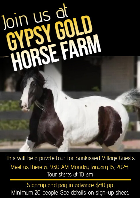 Horse Racing | PosterMyWall