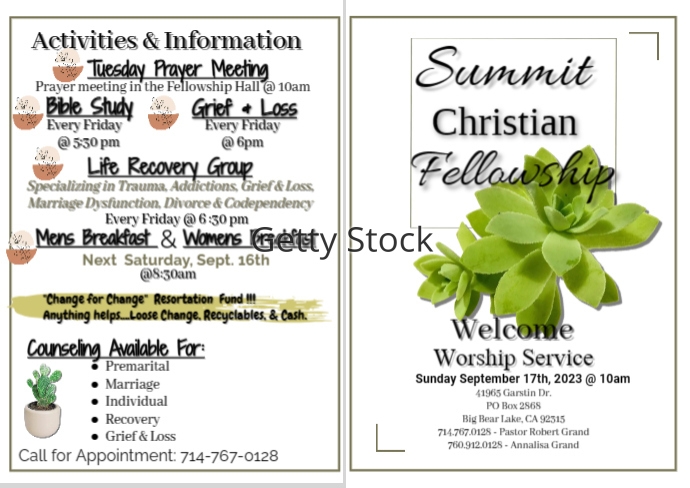 Green Succulent Outside | PosterMyWall