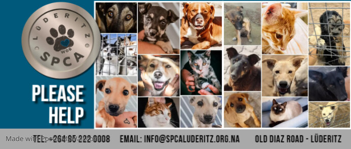 SPCA TIN STICKER | PosterMyWall