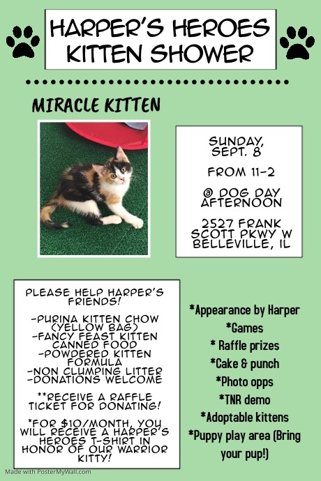 Copia de Harper's Heroes Kitten Shower | PosterMyWall