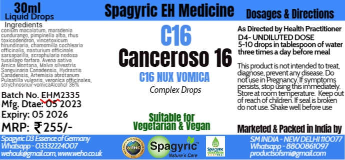 Copy of C16 india new | PosterMyWall